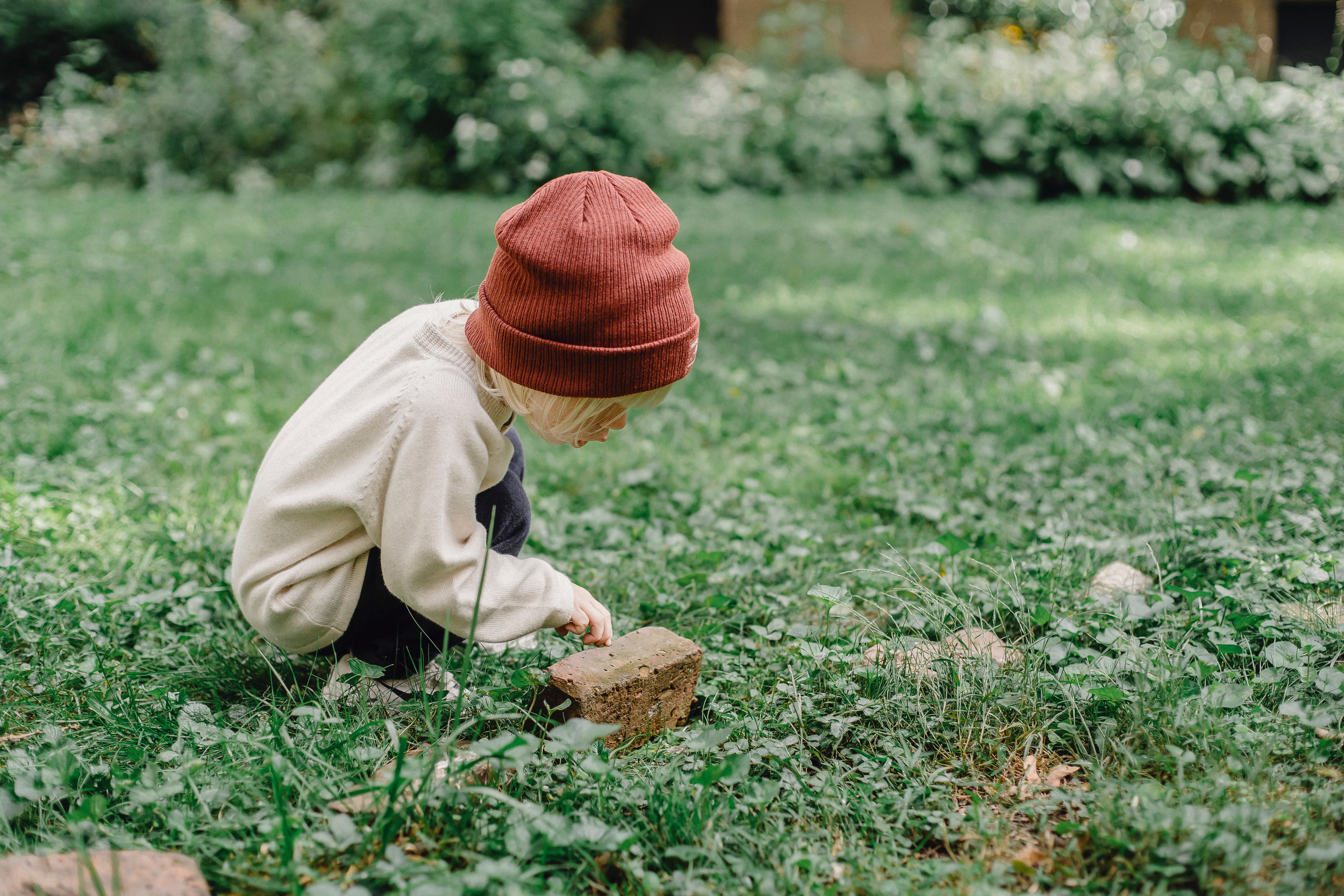 Programme Vigie-Nature École | Académie d'Orléans-Tours
